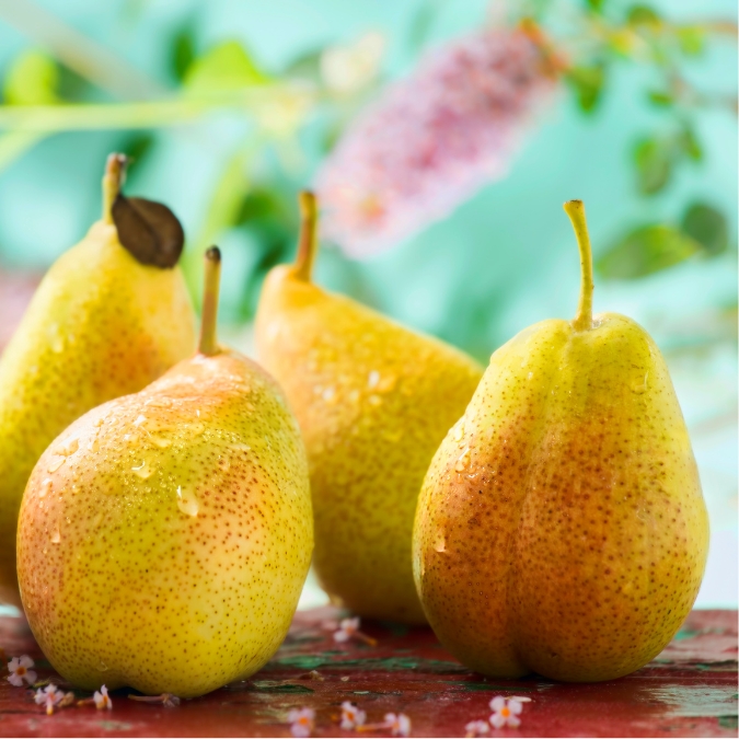 FAQs - Essential Pairs